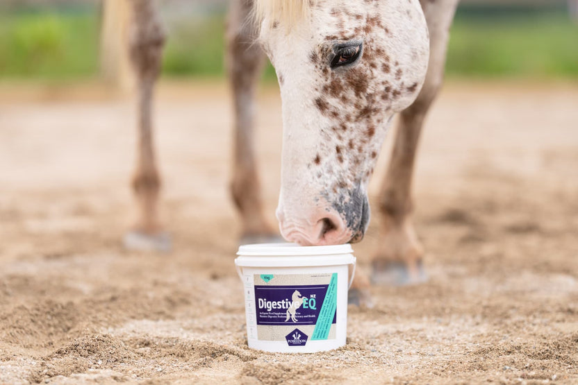 Digestive EQ | Horse Digestive Support | Equine Gut Health Supplement ...