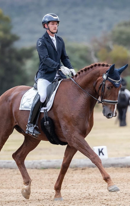 Digestive EQ | Horse Digestive Support | Equine Gut Health Supplement ...